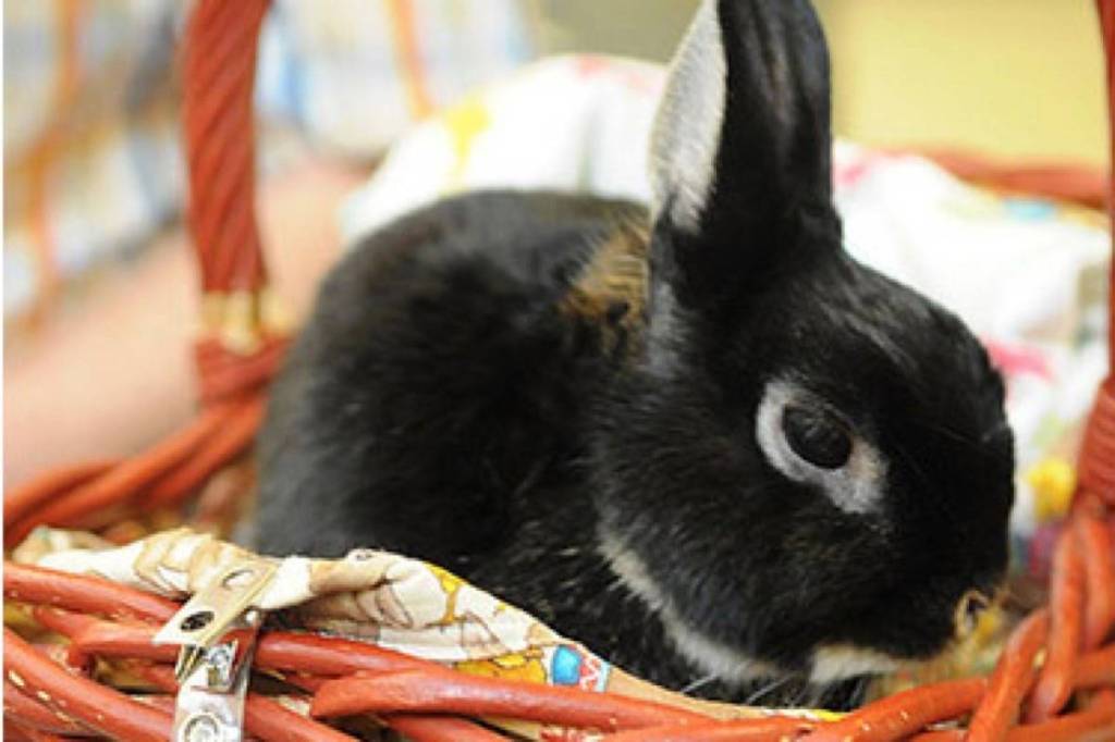 Unofficial holidays: Here’s what people are celebrating for the week of ...