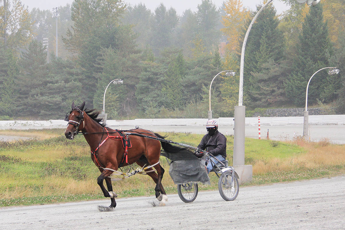 Harness racing at Cloverdale’s Fraser Downs delayed two weeks | Langley ...