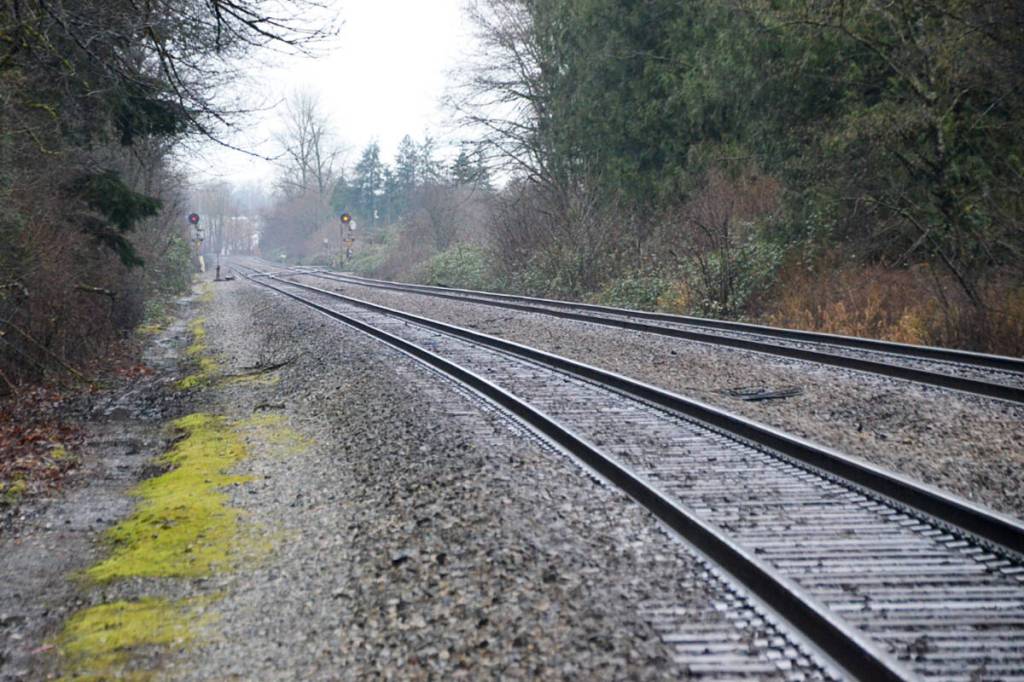 Pedestrian dies at the scene of train strike in North Langley | Langley ...